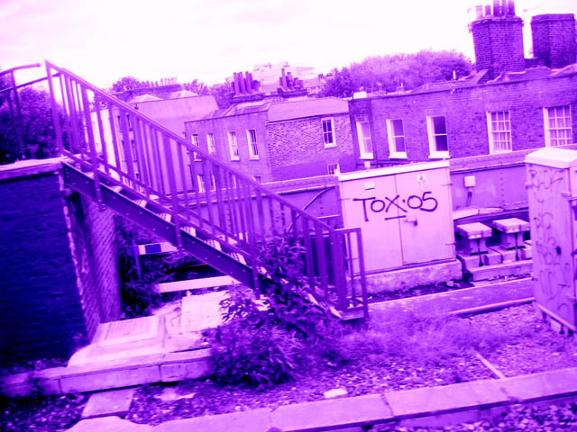 Return of the Tox? | Londonist