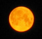 Chinese Autumn Moon Festival | Londonist