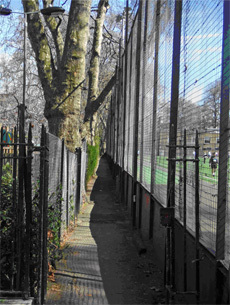 Londonist's Back Passage | Londonist