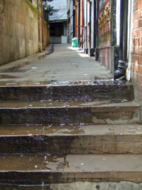 Londonist's Back Passage | Londonist