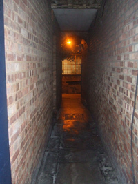 Londonist's Back Passage | Londonist