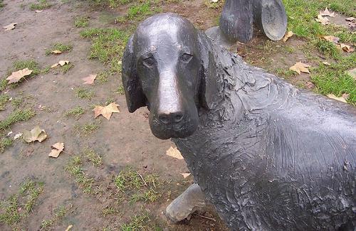 Londonist Loves... The Kazoo Dog Busker, Covent Garden | Londonist