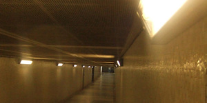 Londonist's Back Passage | Londonist