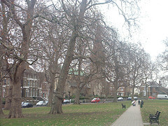 Going Green at Goose Green | Londonist