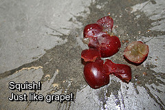 Grape Case Quashed | Londonist