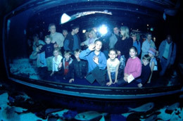 The Age Of The Aquarium | Londonist