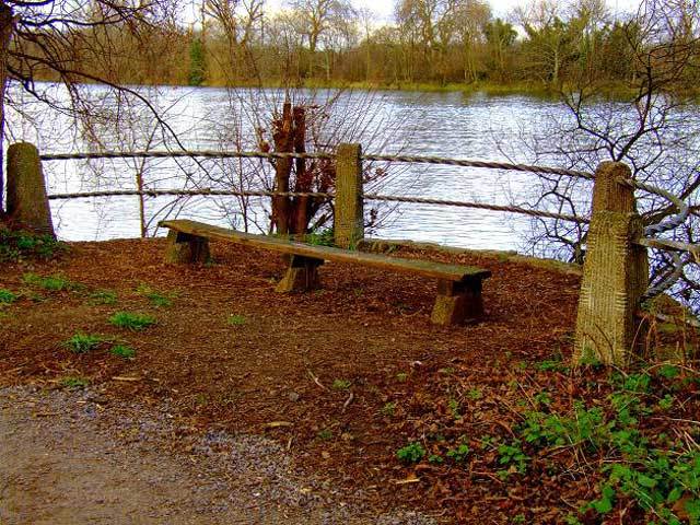 Nature-ist: Chiswick Riverside | Londonist