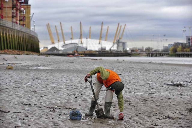In Pictures: The Big Thames Cleanup | Londonist