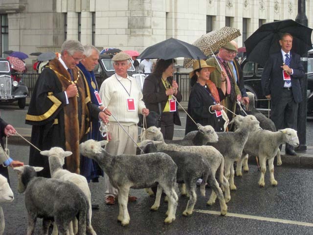In Pictures: Sheep Driving At London Bridge Festival | Londonist