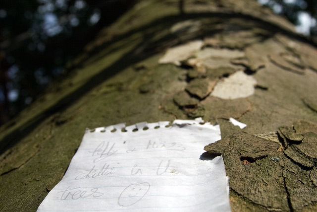 In Pictures: Treehouse Galleries In Regent's Park | Londonist