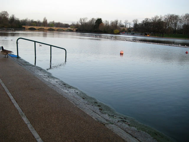 Love Your Lido: Swimming In The Serpentine | Londonist