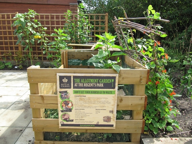 Vegetable Heaven in Central London | Londonist