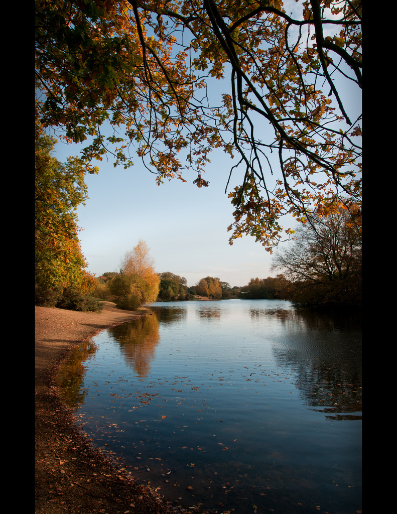 Weekend Round Up Londonist
