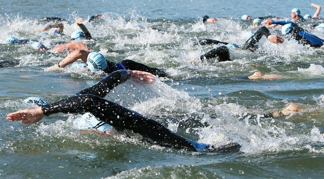 Preview: Speedo Open Water Swim - Hampton Court | Londonist