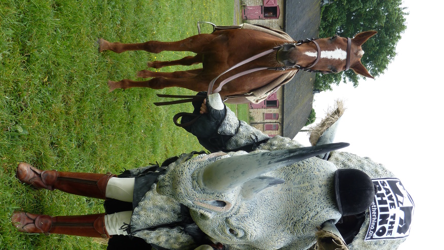 Herd Of Rhinos Takes On Olympic Sports | Londonist