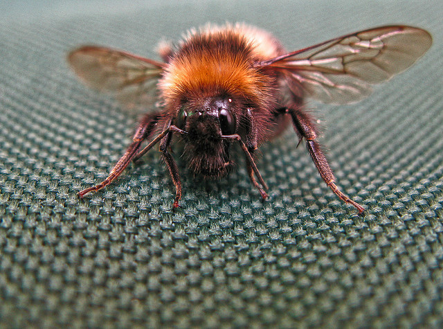 Londonist Out Loud: A Podcast For London, 8 September 2011 | Londonist