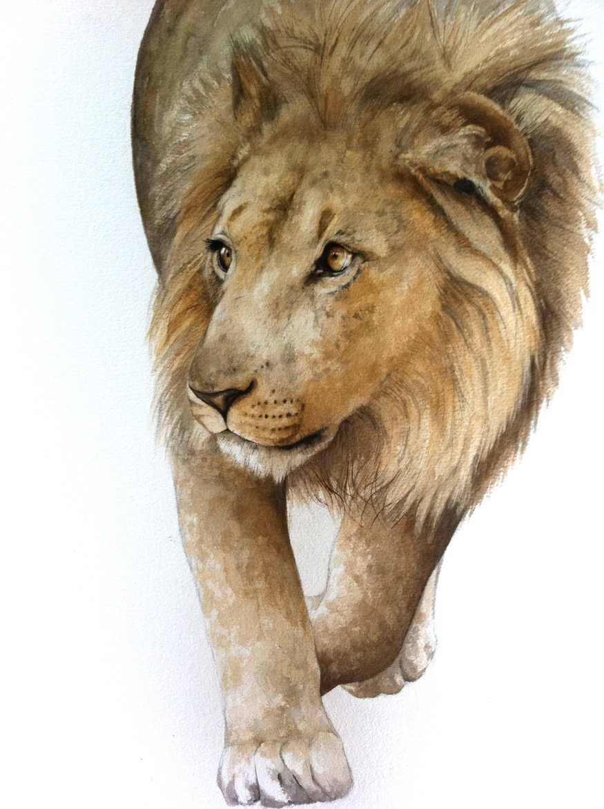 Artist Interview: Dominique Salm | Londonist