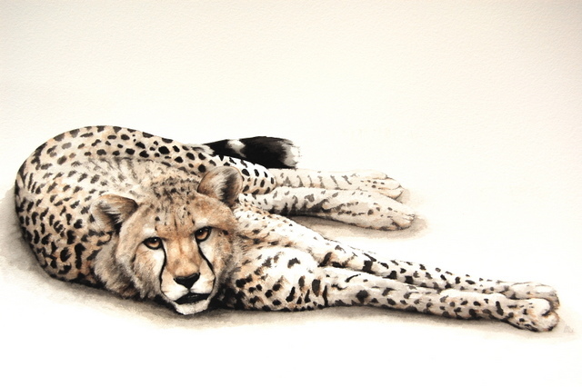 Artist Interview: Dominique Salm | Londonist