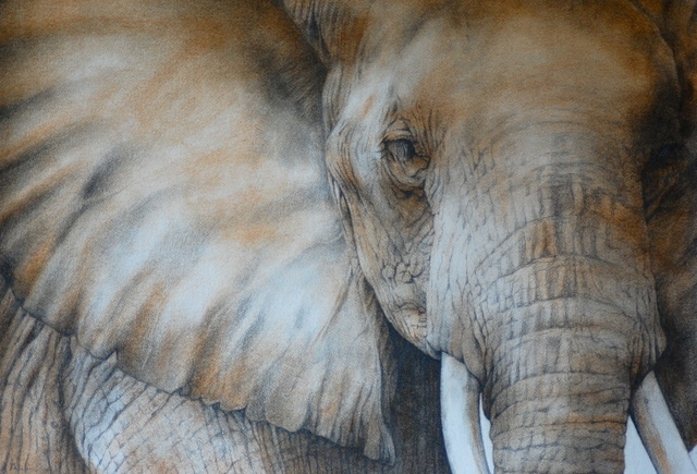 Artist Interview: Dominique Salm | Londonist