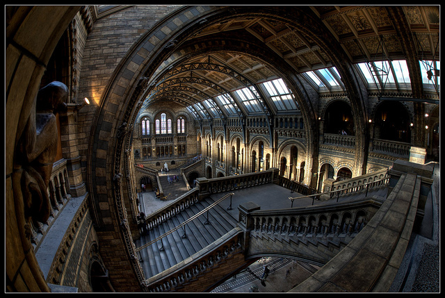 The Friday Photos: The Fisheye's View | Londonist