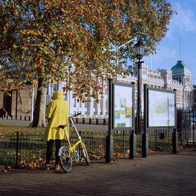 The Friday Photos: Yellow | Londonist