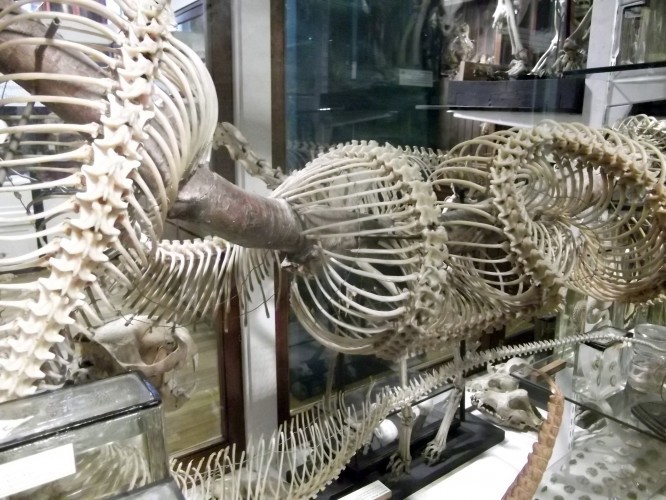 Week In Geek: 16-22 July 2012 | Londonist