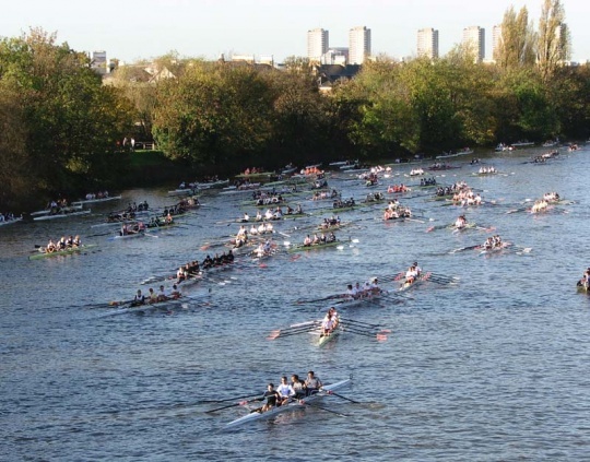 Preview: The Head Of The River Rowing Race | Londonist