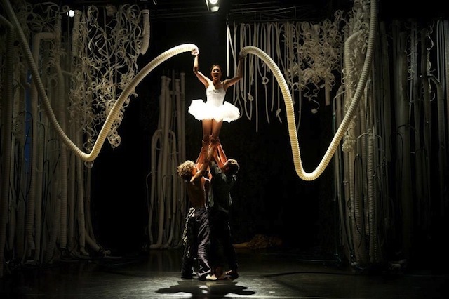 Dance Review: FREEDOM By Jasmin Vardimon Company | Londonist