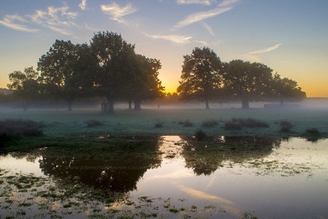 Sunday Seasoning #180 | Londonist