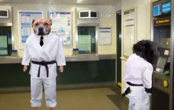 Dog Judo's Guide To London Transport | Londonist