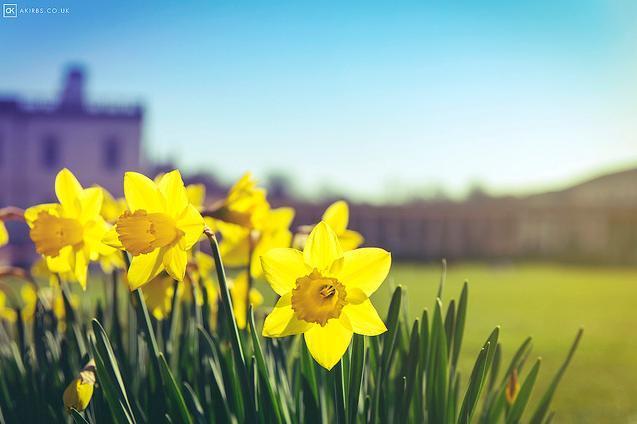 In Pictures: London Spring | Londonist