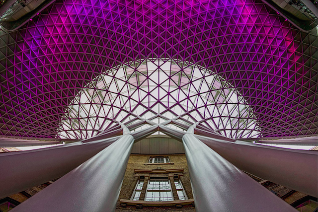 The Friday Photos: Purple London | Londonist