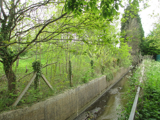 How London's Rivers Got Their Names | Londonist