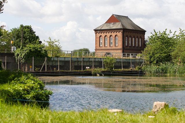 Reservoir Network To Become Europe's Largest Urban Wetland | Londonist