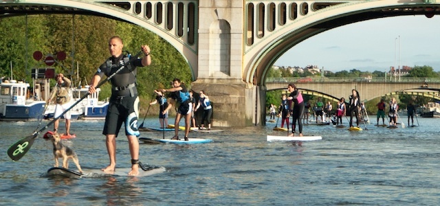 Paddle Board Your Way Down Paddington Basin | Londonist