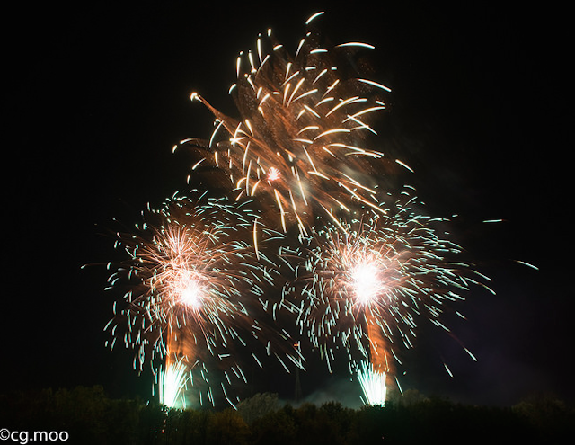 In Pictures: Bonfire Night 2014 | Londonist