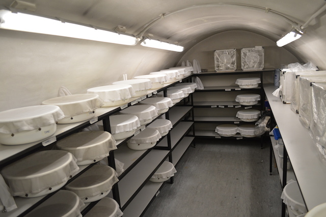 Inside London's Itchiest Room | Londonist