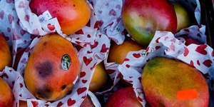 london short fiction | Londonist