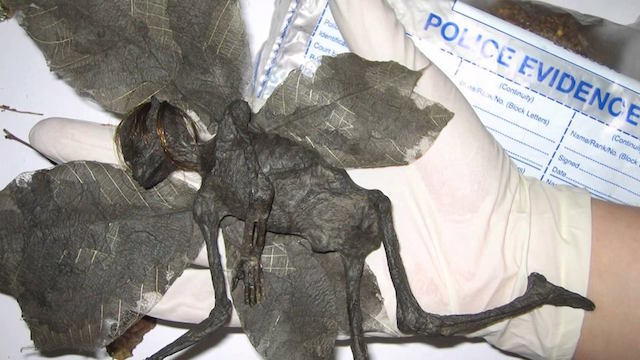 Fortean London: A Mummified Fairy And Arabian Tales | Londonist