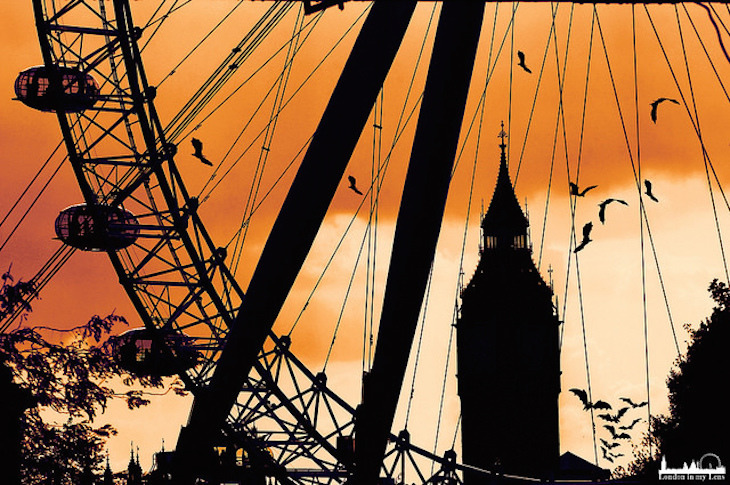 Friday Photos: Halloween | Londonist