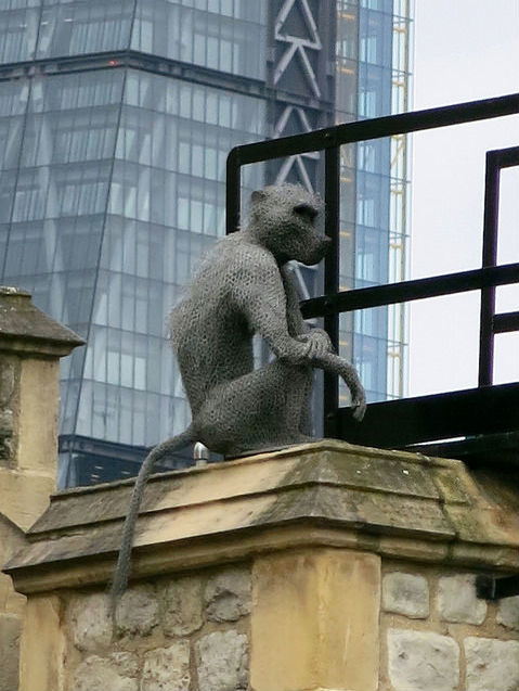Monkeys In London: Everything You Need To Know | Londonist