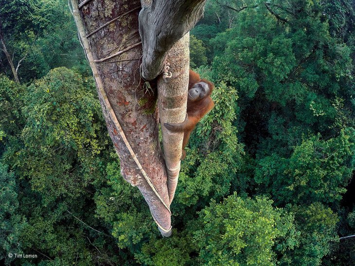 Wildlife Photography Exhibition Captures Nature's Beauty And Savagery ...