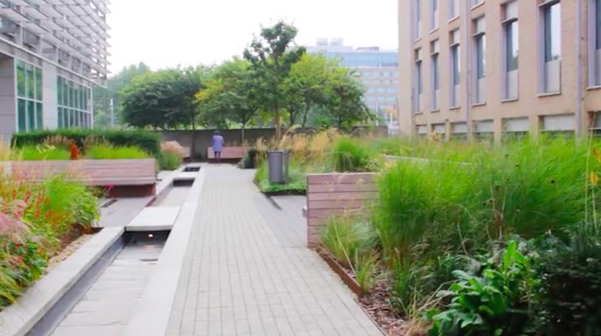 Huckletree West Is A Worker's Paradise | Londonist