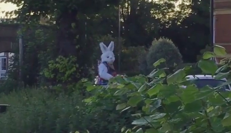 Have You Seen The Mysterious White Rabbit Of Barnes? | Londonist