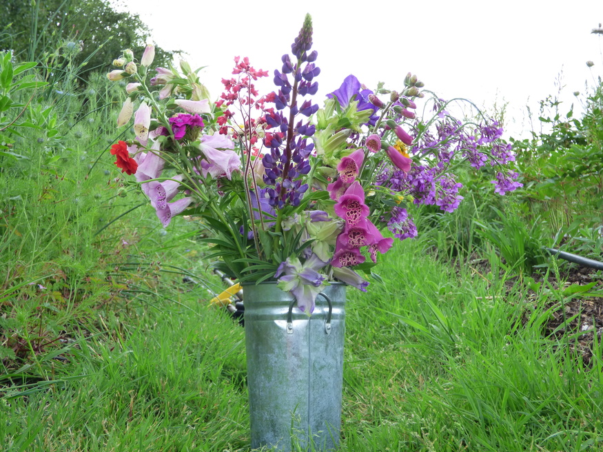 This Incredible Farm Has A Whole Acre Of Beautiful Flowers... And You ...