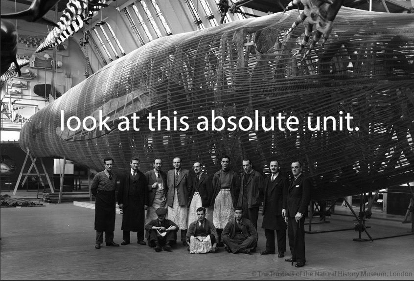 The Best London Memes On #MusMeme Day | Londonist