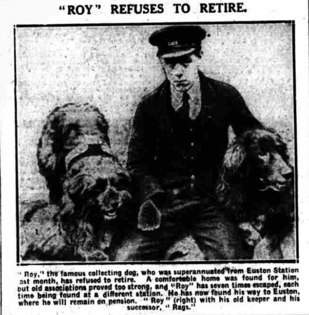 Roy - The Dog Who Refused To Leave Euston Station | Londonist