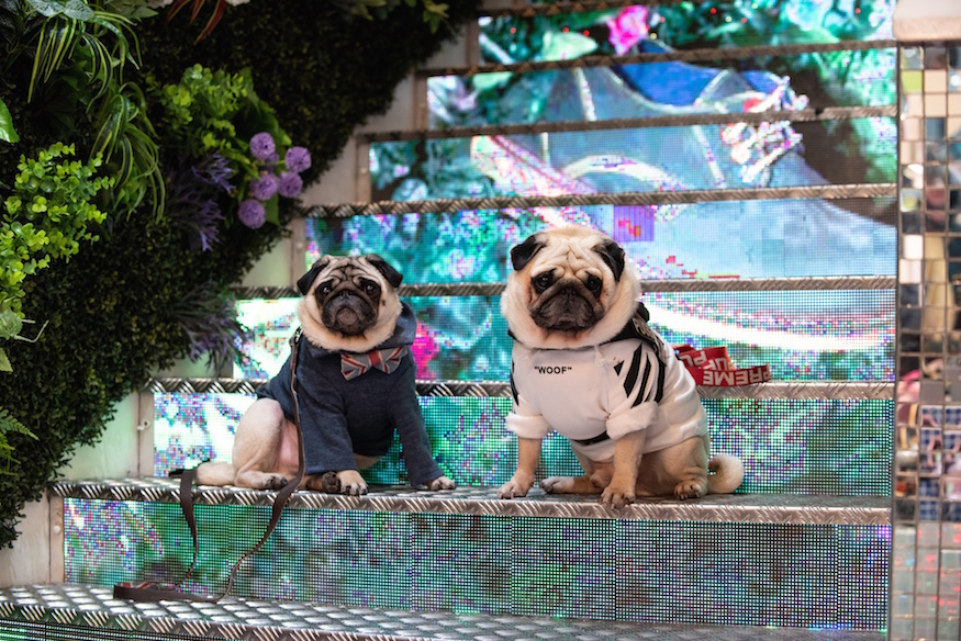 Things To Do Today In London: Monday 25 March 2019 | Londonist