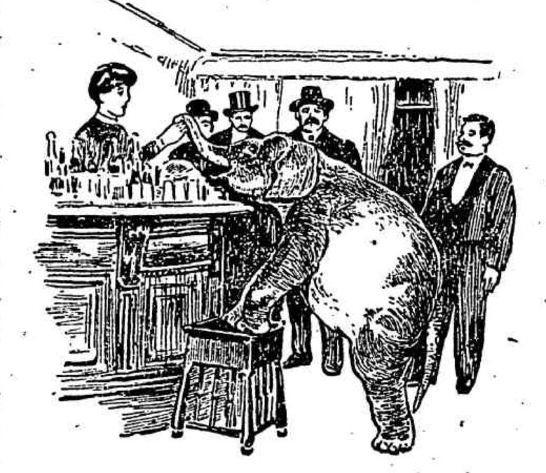 An Elephant Once Visited Ye Olde Cheshire Cheese Pub | Londonist