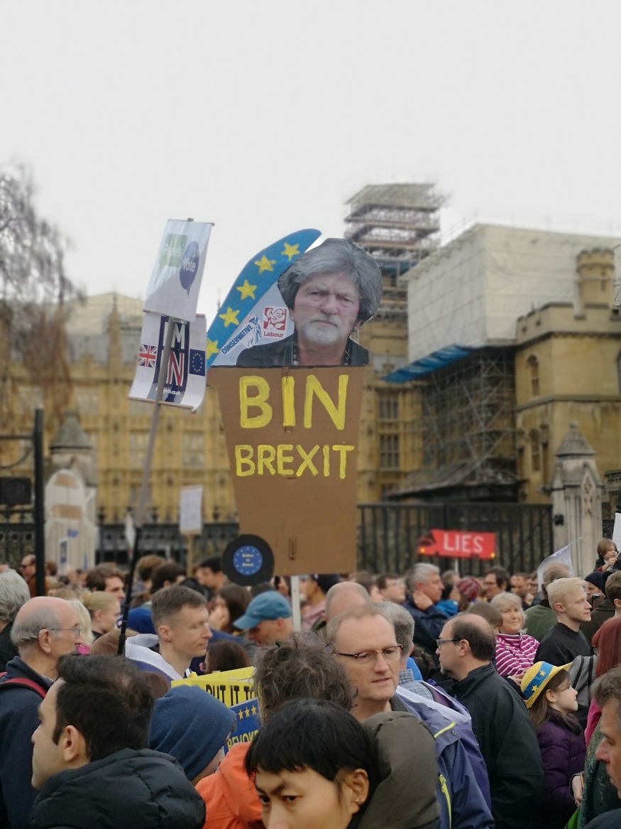 The Best Placards From Saturday's People's Vote March | Londonist